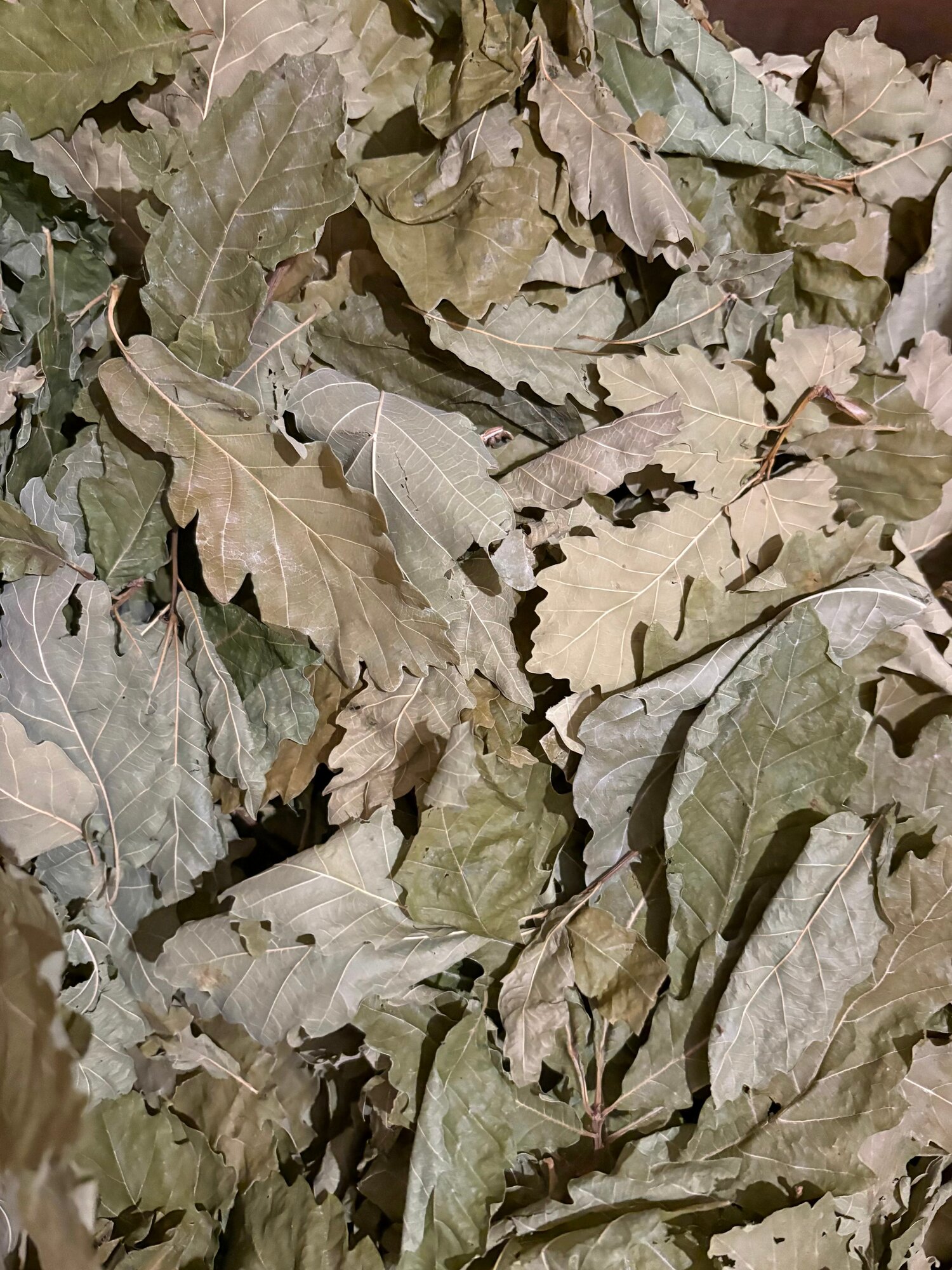 Запарка для бани — фото 1
