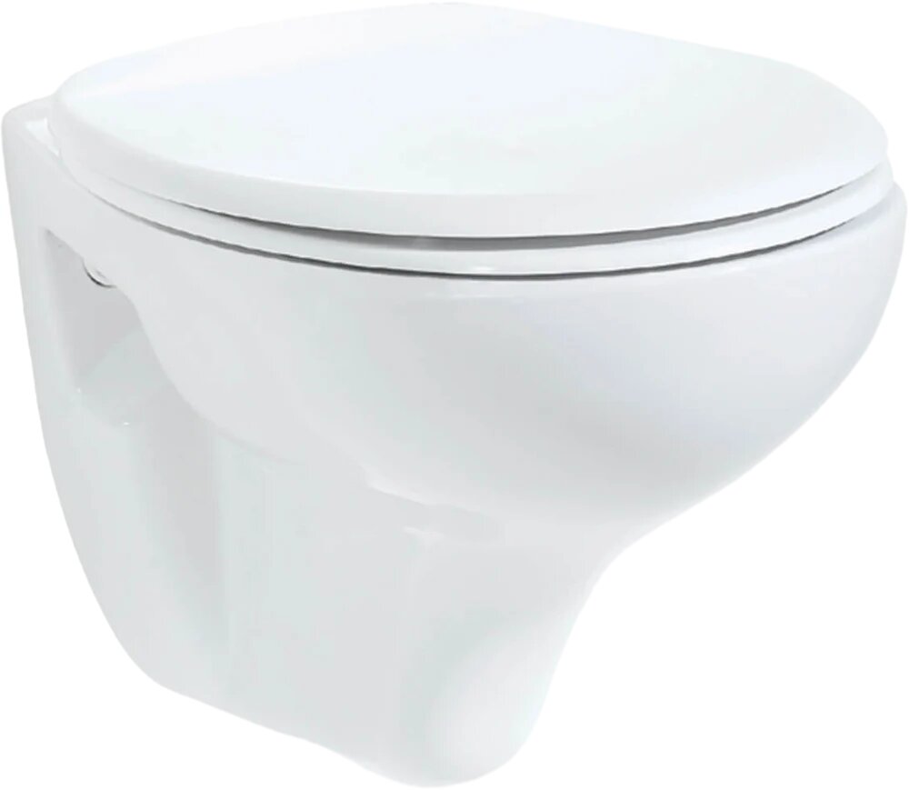 Унитаз подвесной Creavit Perla TP320.00100 с микролифтом, без бачка, антивсплеск, фарфоровый, белый, глянцевый, овальный, сиденье для унитаза в комплекте
