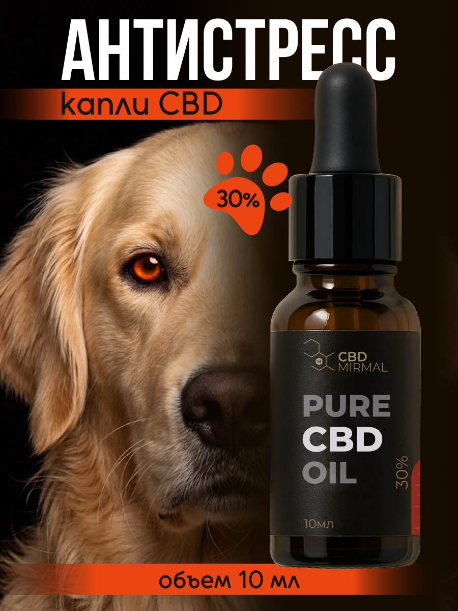 Успокоительное масло CBD для собак крупных пород или при тяжелых заболеваниях (30%) 10 мл