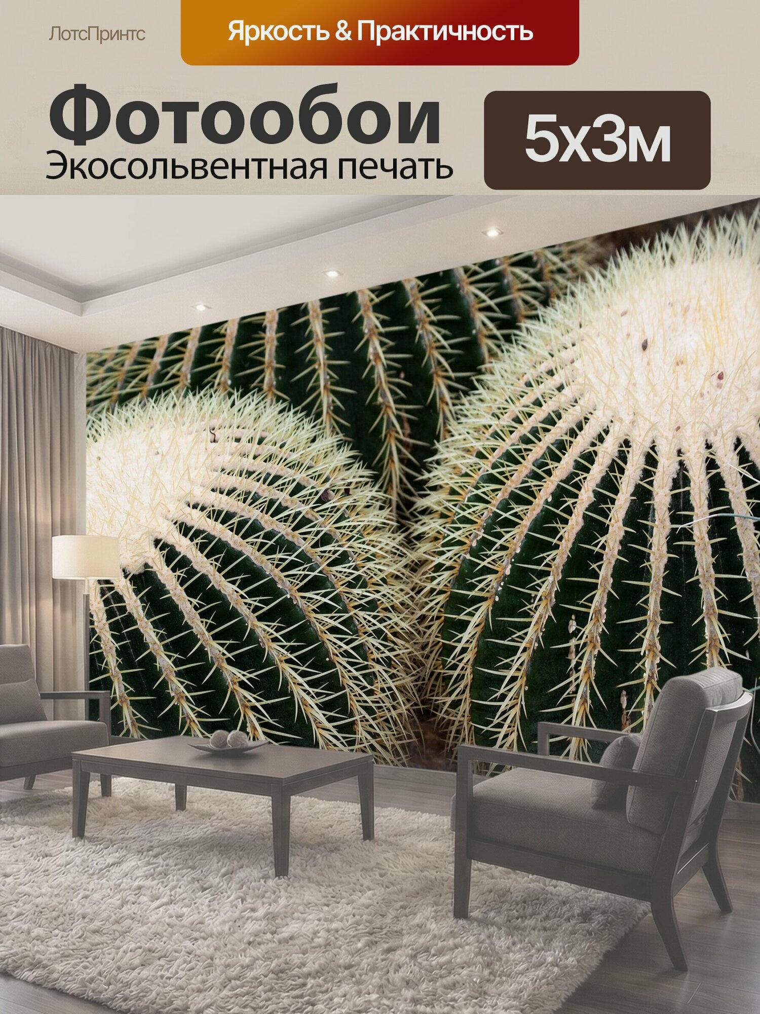 Фотообои "Кактус, кактусов, кактусы" 500x300 см. экосольвентная печать