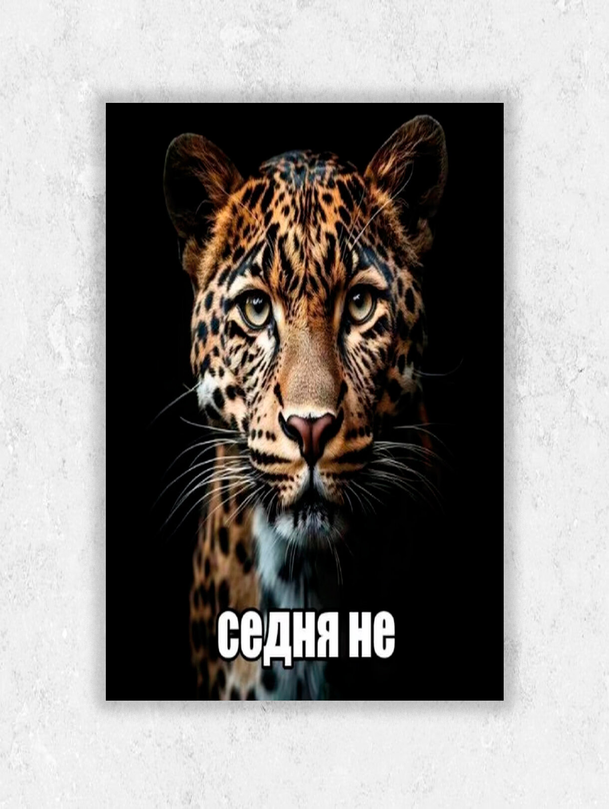 Плакат-мем "Сегодня нет"