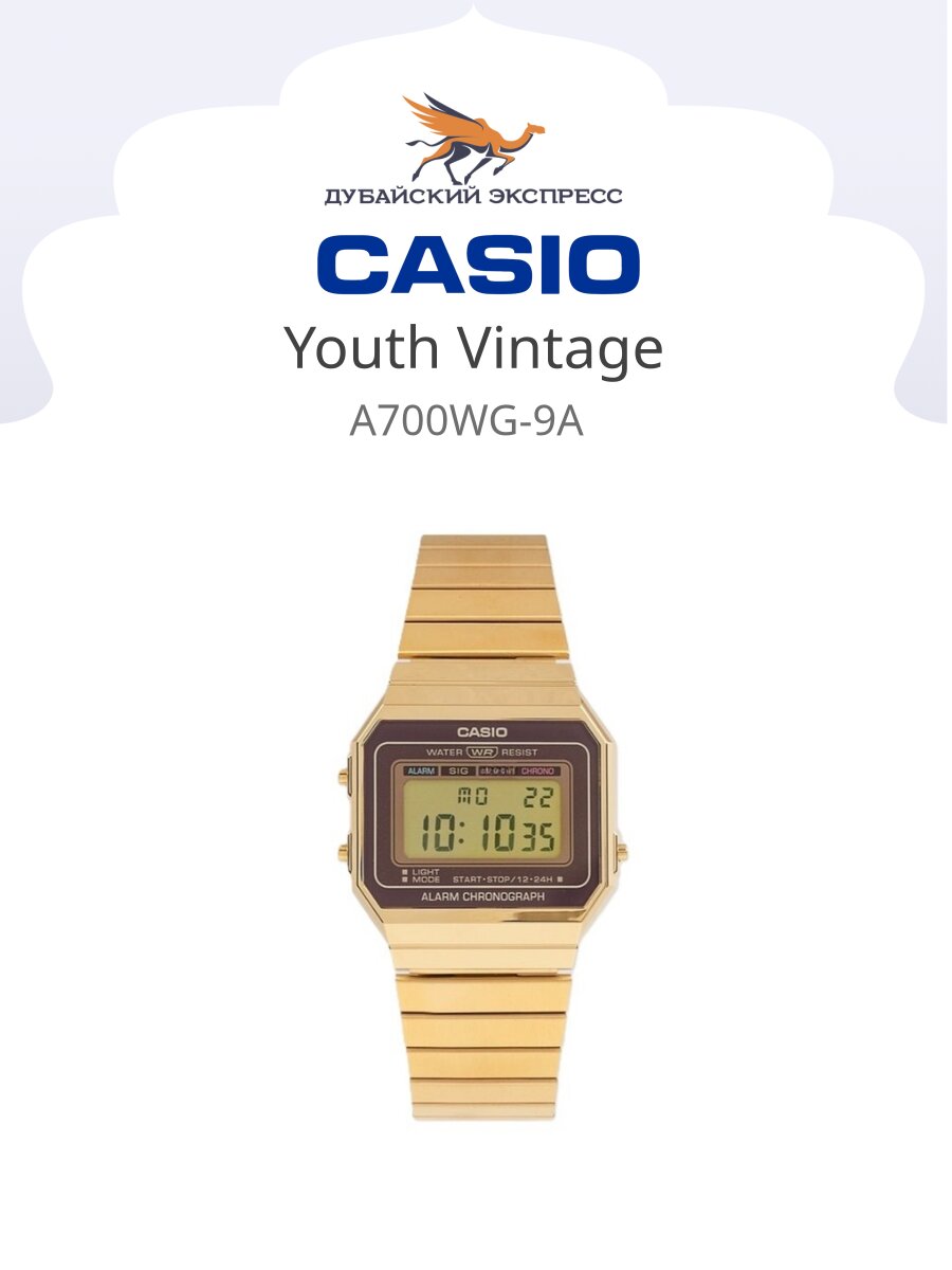  CASIO