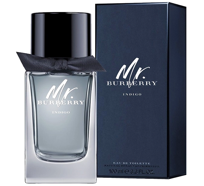 Мужские духи Барбери Мистер Барбери Индиго 100 мл / Mr Burberry Indigo