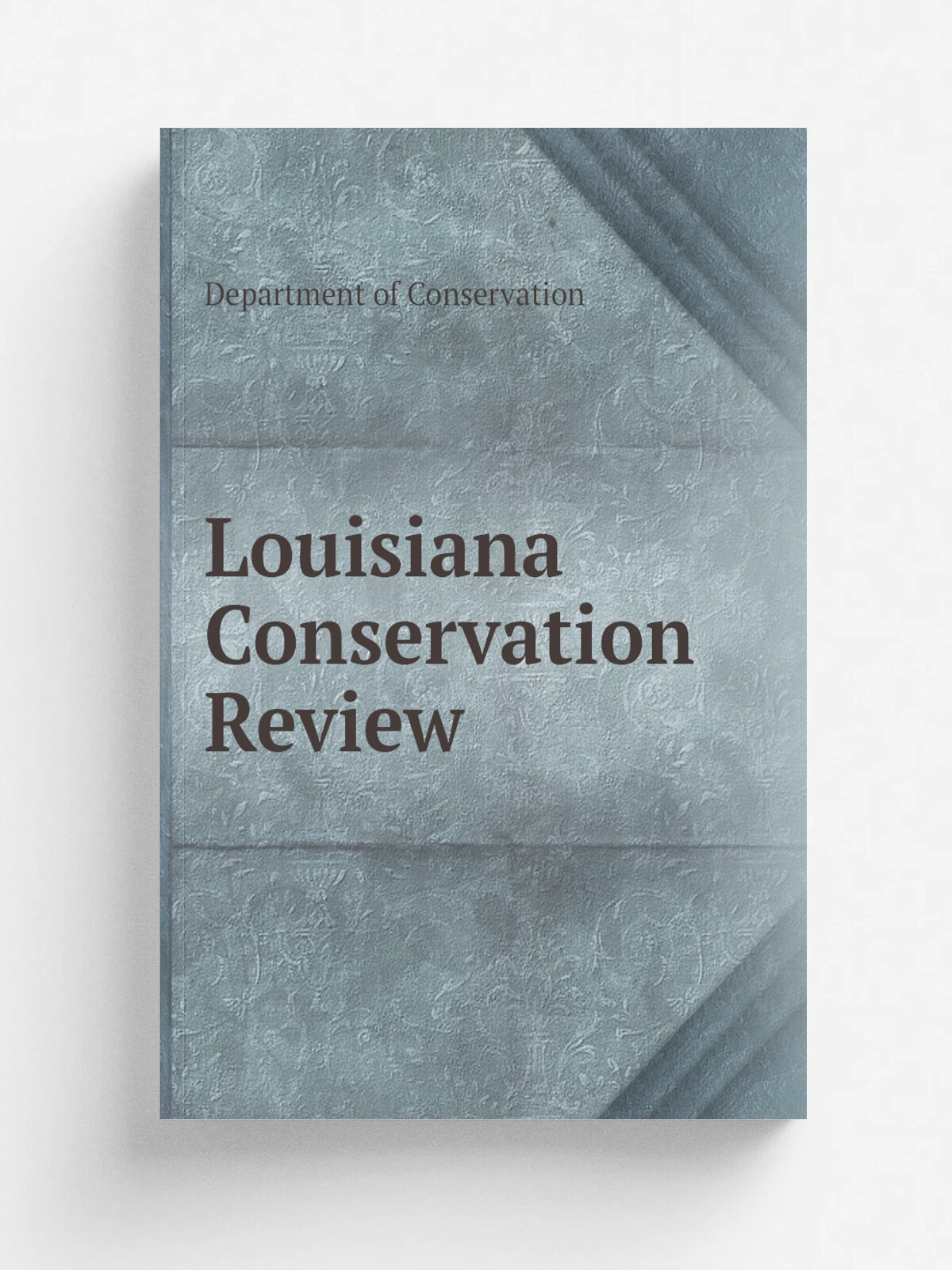 Louisiana Conservation Review | Department of Conservation | 1931 | New Orleans, La. : Dept. of Conservation | Репринт