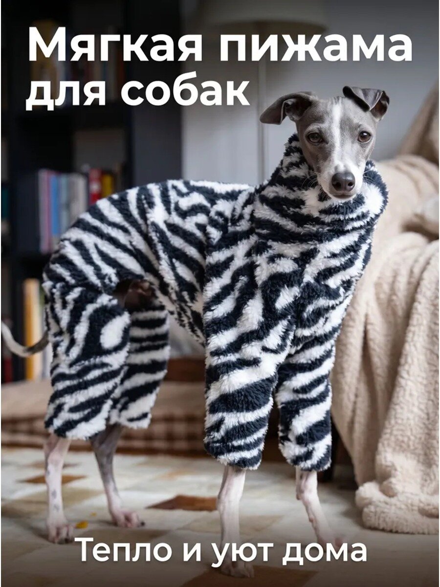 Пижама для собак из фланели, теплая одежда для итальянской левретки и уиппета, черная