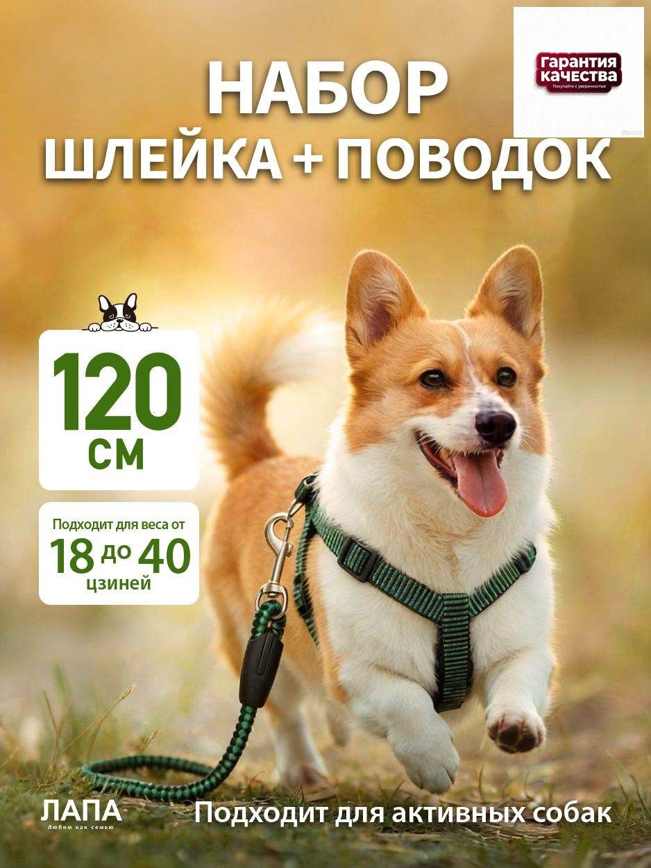 Ошейник-жилет с поводком для мелких и средних пород собак Ширина 1 см, длина 120 см