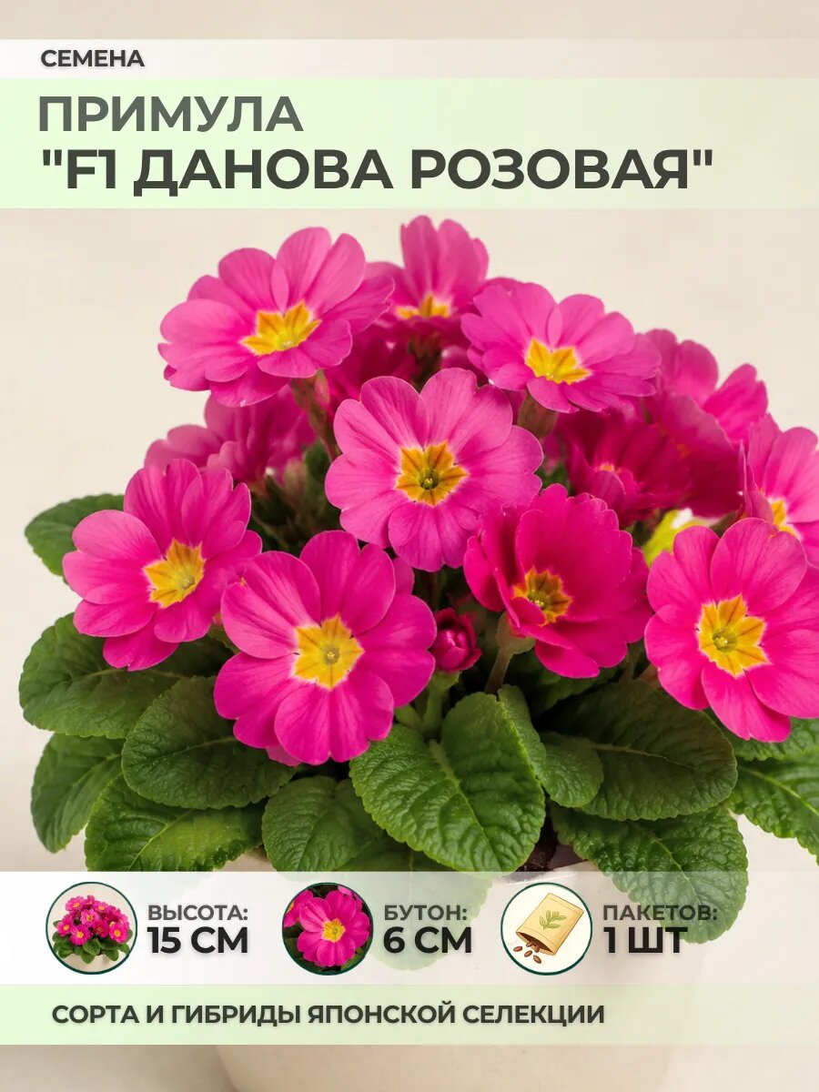 Примула "Данова розовая" F1, крупные нежно-розовые с жёлтым глазком цветки, 1 упаковка, 5 шт. семян.