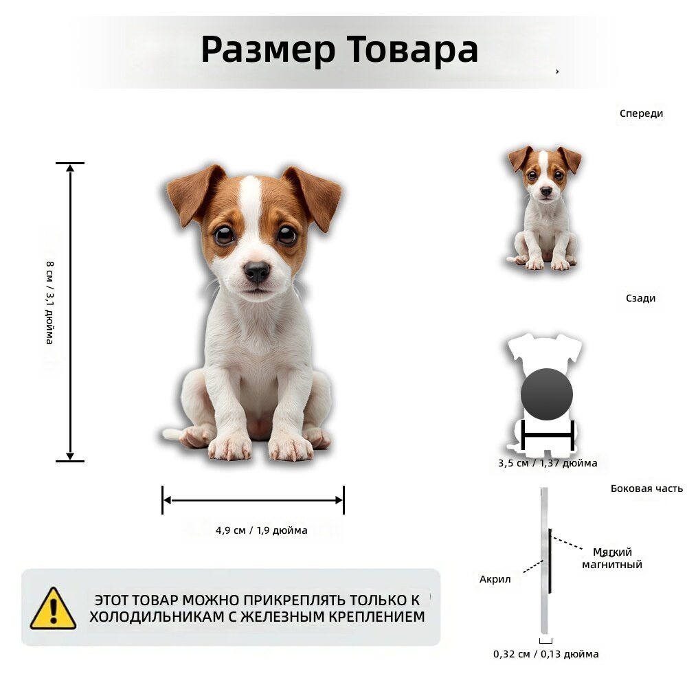 Плоский магнит из акрила и резины с изображением щенка джек-рассел-терьера, Размер: 1