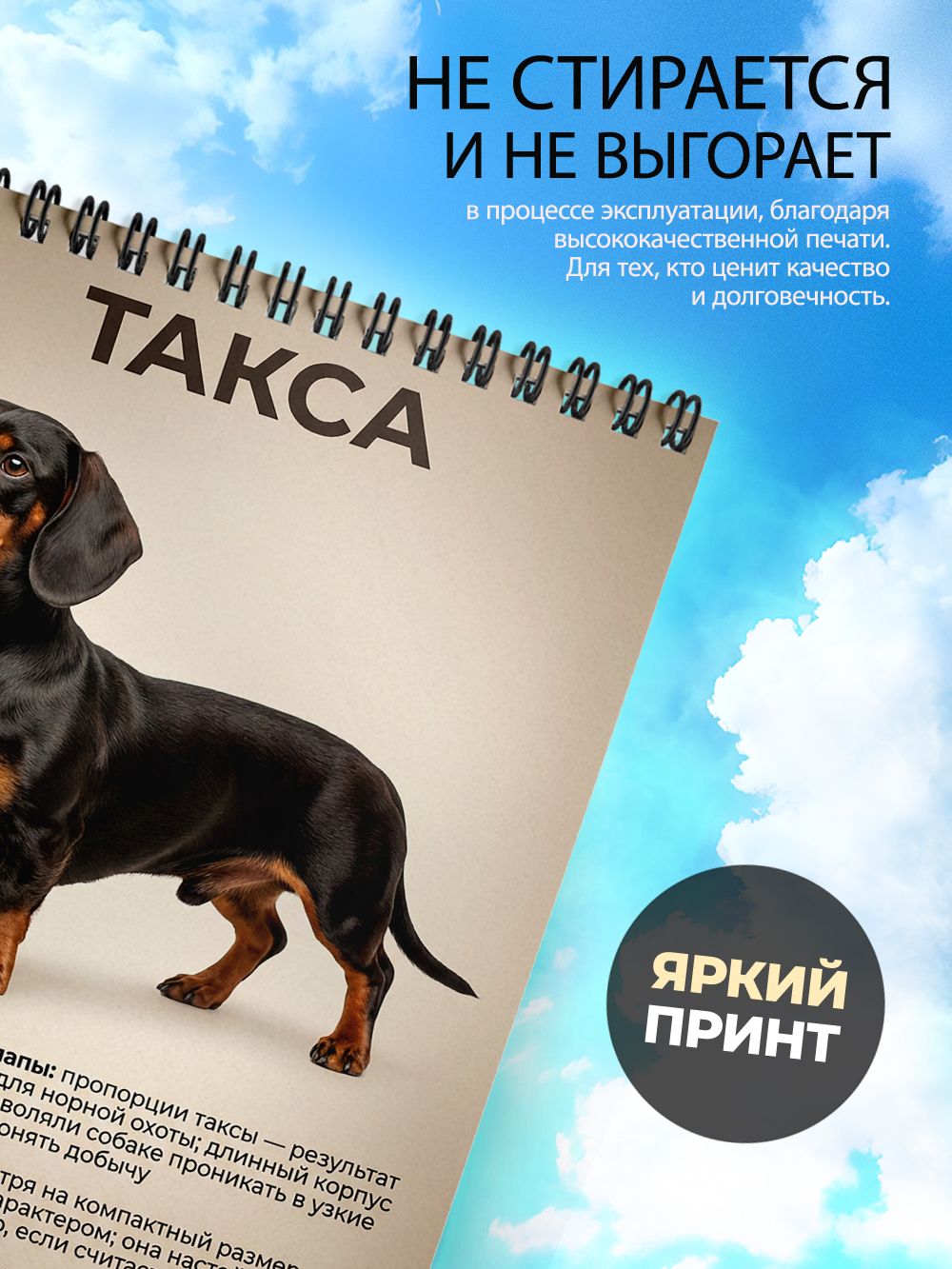 Блокнот А6 - Такса — фото 1