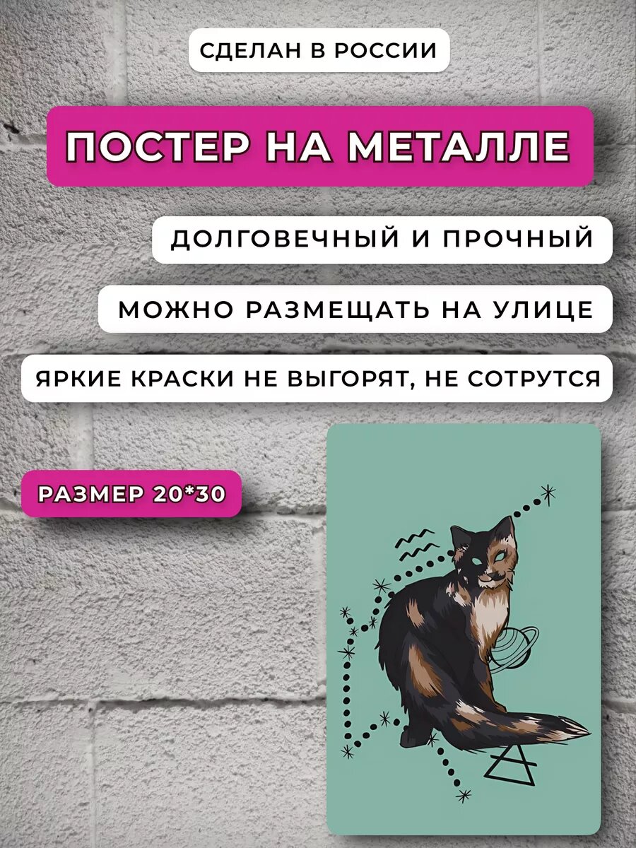 Котик водолей постер — фото 1