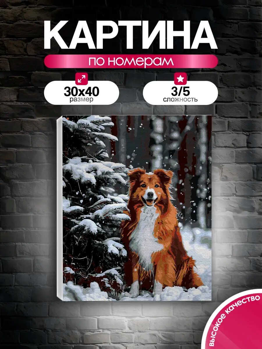 Картина по номерам 30x40 Собака в зимнем лесу