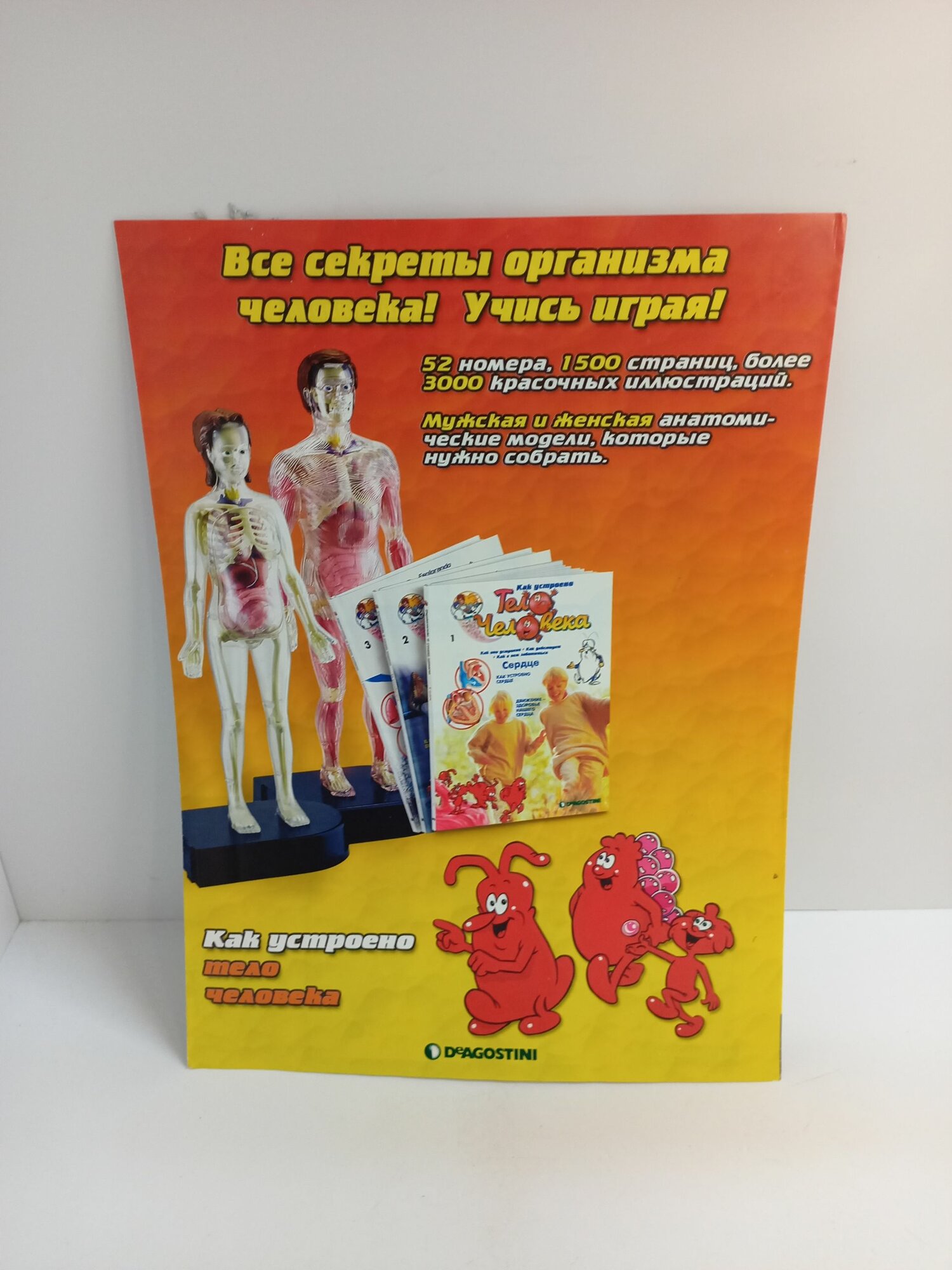 Все секреты организма человека! Учись играя!