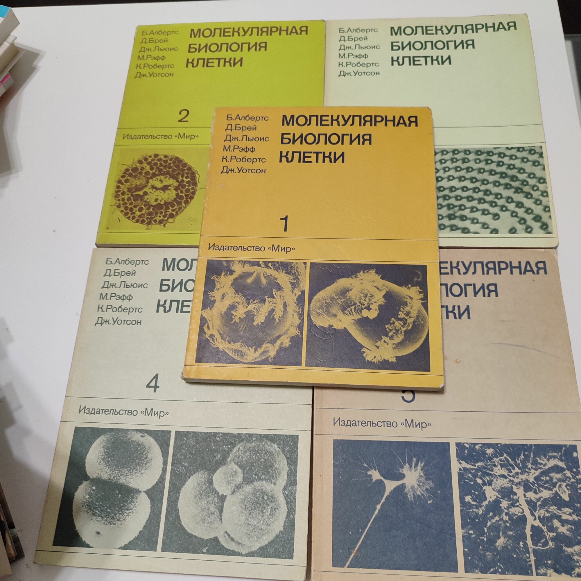 Молекулярная биология клетки.