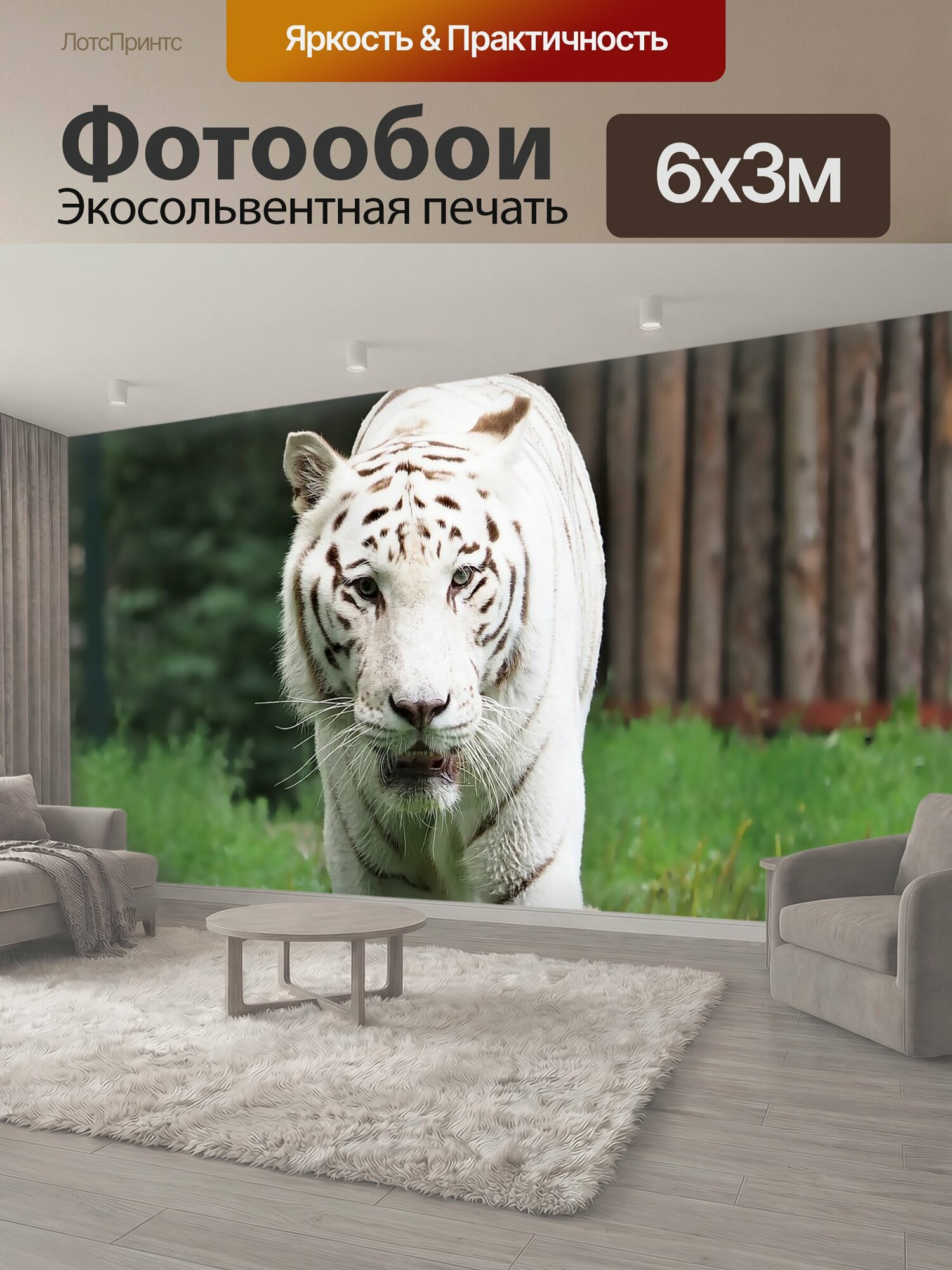 Фотообои "Тигр, белый тигр, большой кот" 600x300 см. экосольвентная печать
