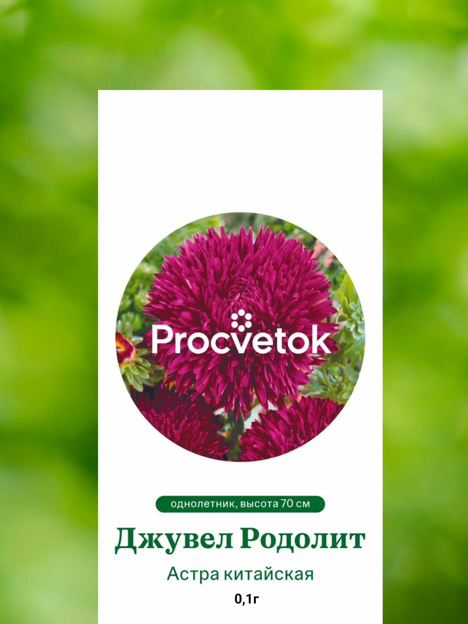 Семена Астры китайской Джувел Родолит 0,1г процветок
