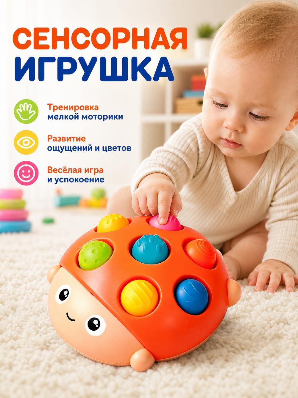 Сортер