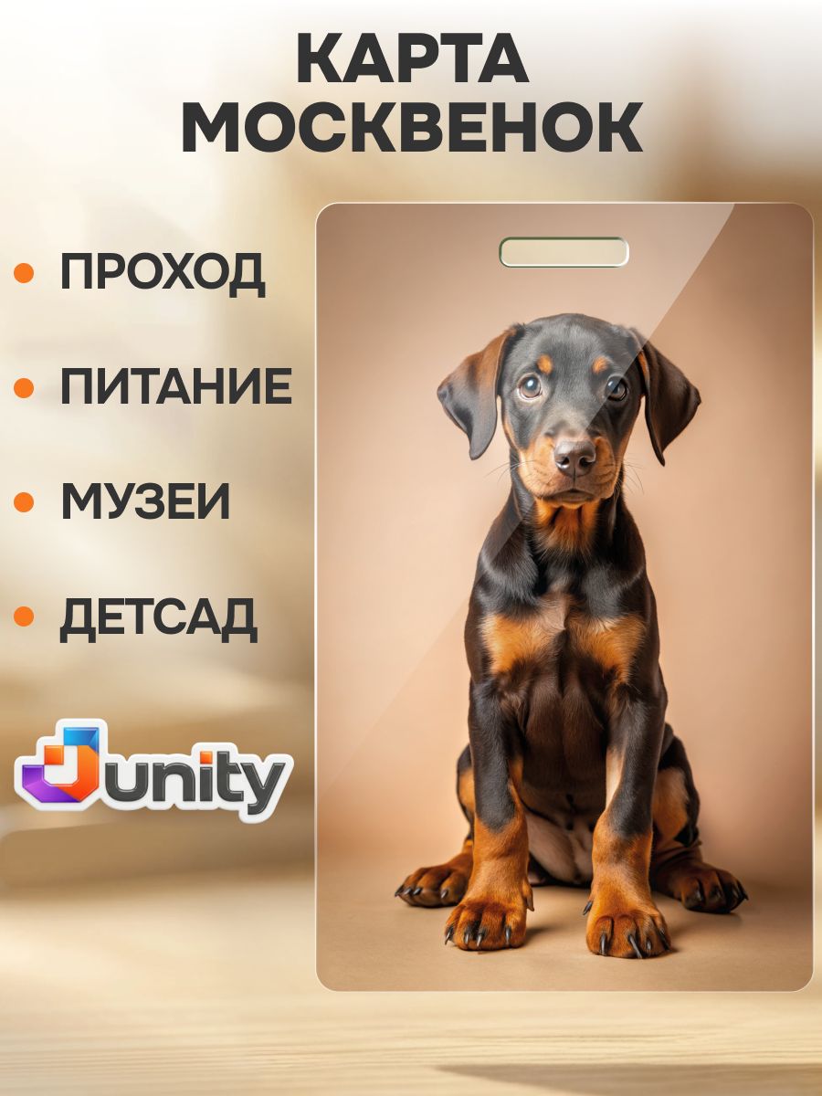 Карта Москвёнок DOGS №9