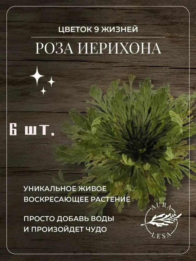 Сухоцветы, 7 гр, 6 шт