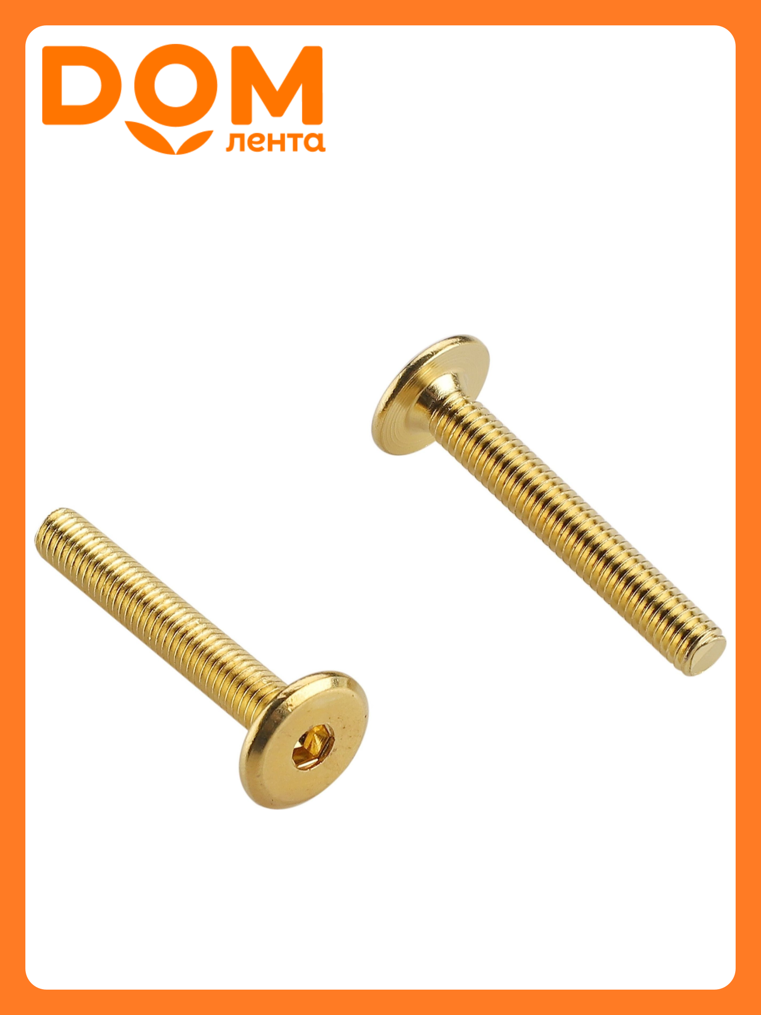 Винт мебельный с плоской головой латунированный М 6 х 40 мм 20 шт