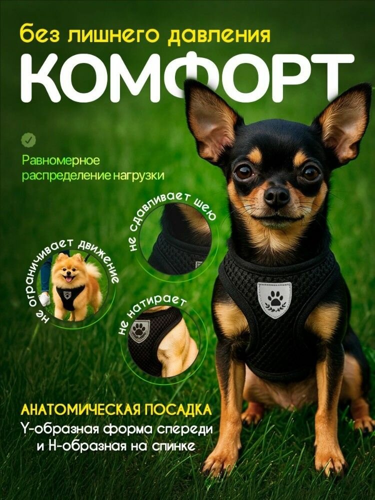 Шлейка — фото 1