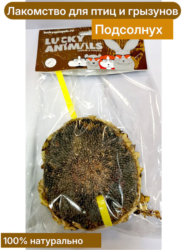 LUCKY ANIMALS, Подсолнух, лакомство для птиц и грызунов, 1уп*1шт
