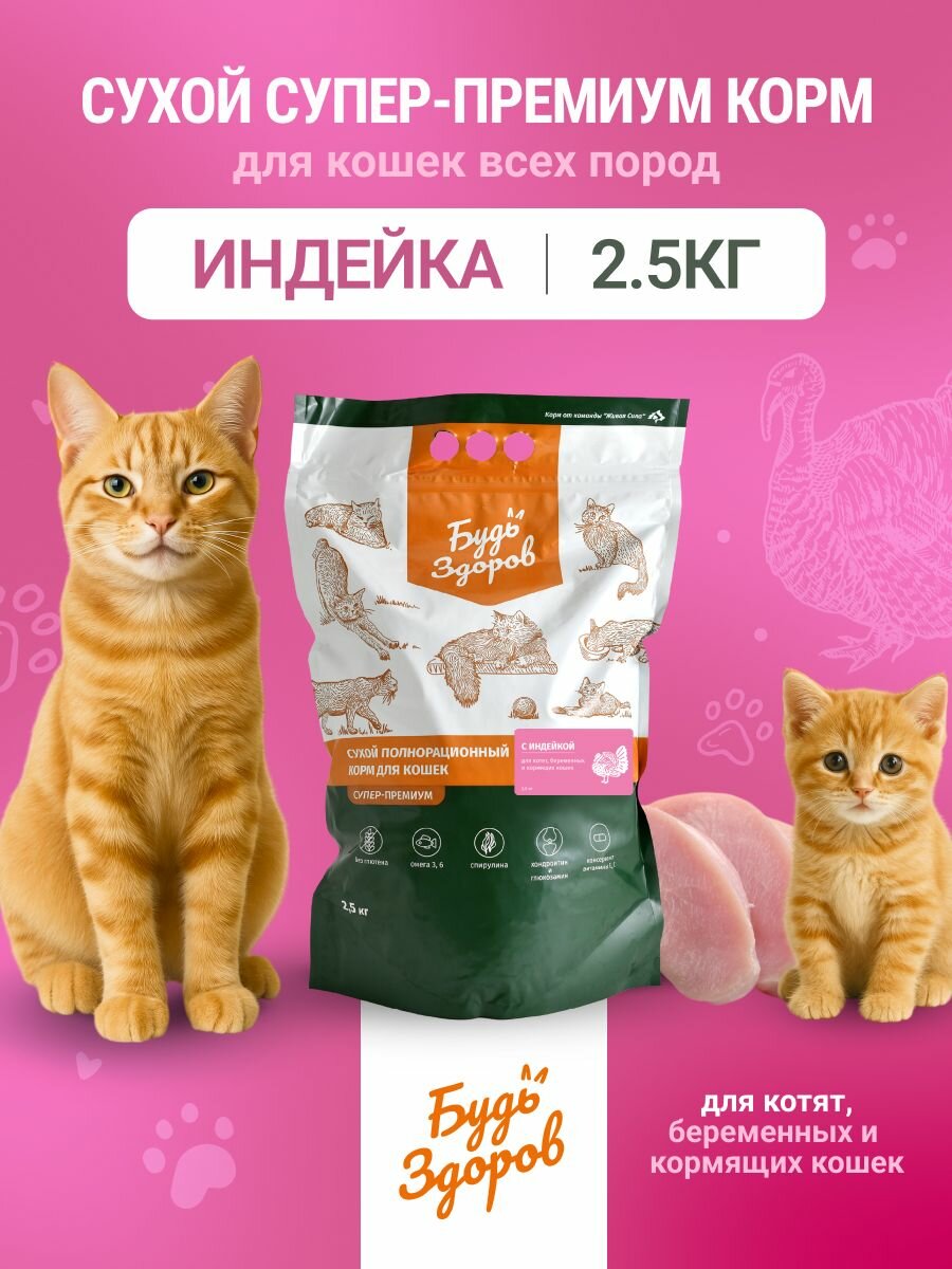 Сухой корм для котят и кошек с индейкой 2,5кг