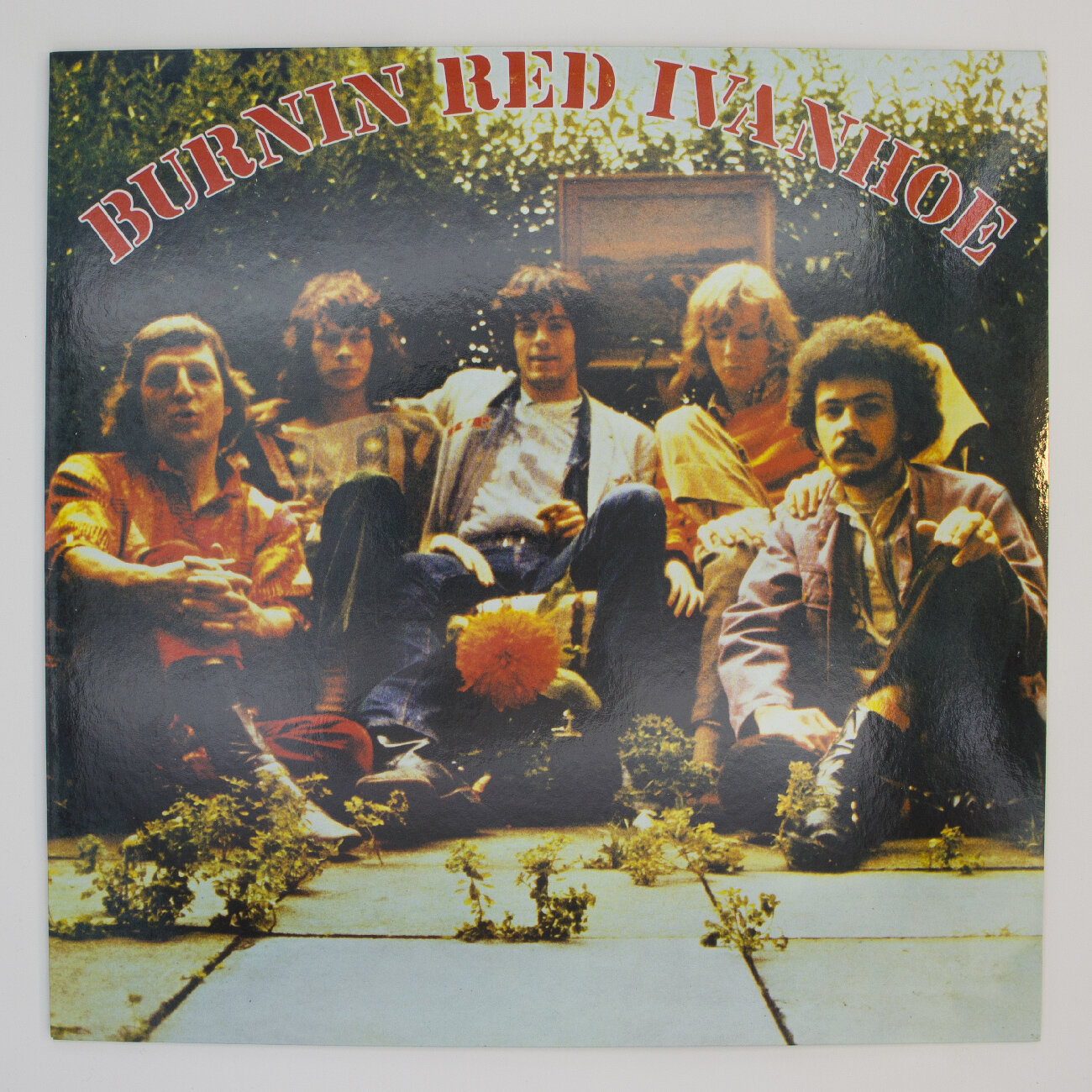 Виниловая пластинка Burnin Red Ivanhoe - Across The Windowsill, 1xLP, NM