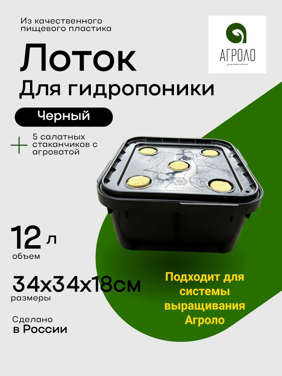 Лоток для гидропоники 12л Черный 5 стаканчиков, Настольная садовая ферма, Система выращивания агроло