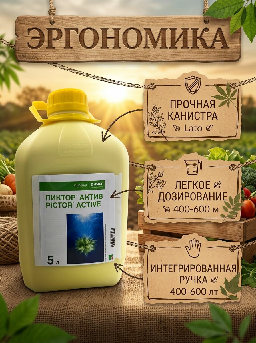 Фунгицид Пиктор Актив, 5 л
