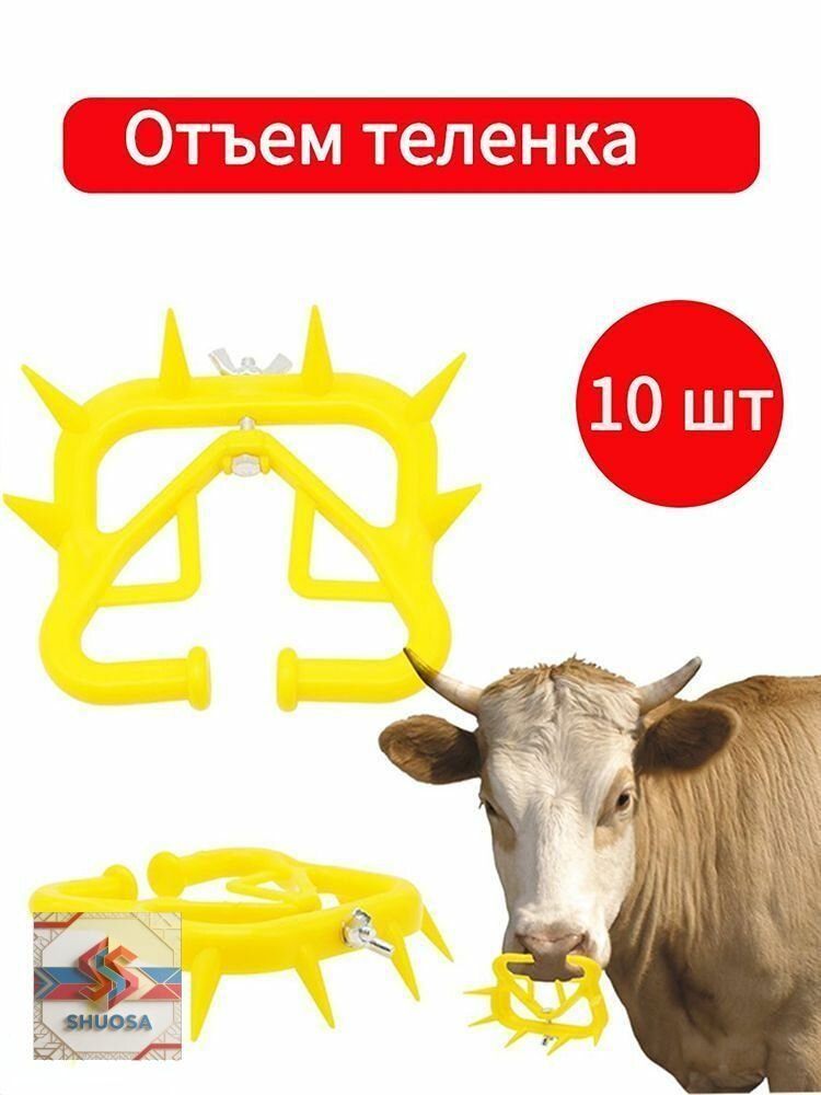 10 шт. Кольцо носовое, высокие шипы, против высасывания молока телёнком у коровы.