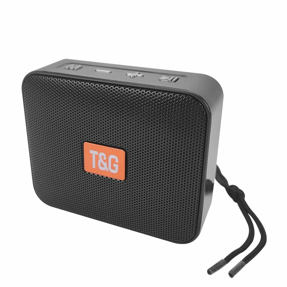 T&G Wireless Speaker 10 W, black — фото 1
