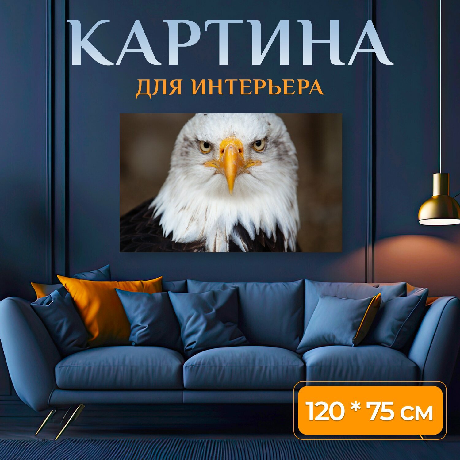Картина на холсте "Белоголовый орлан, орел, птица" на подрамнике 120х75 см. для интерьера