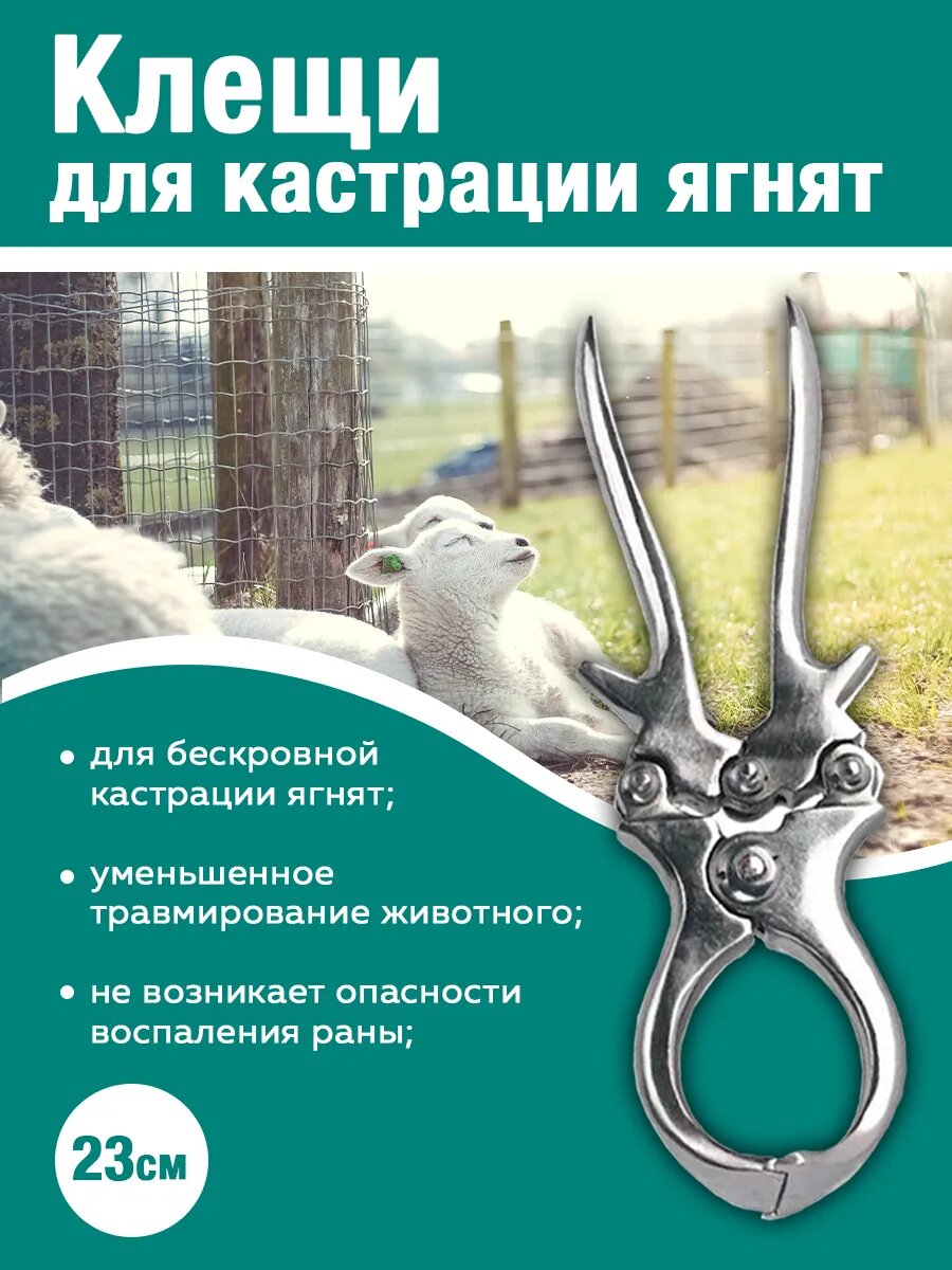 Щипцы ветеринарные "Ветспектрум", для кастрации, кованая сталь, 23 см