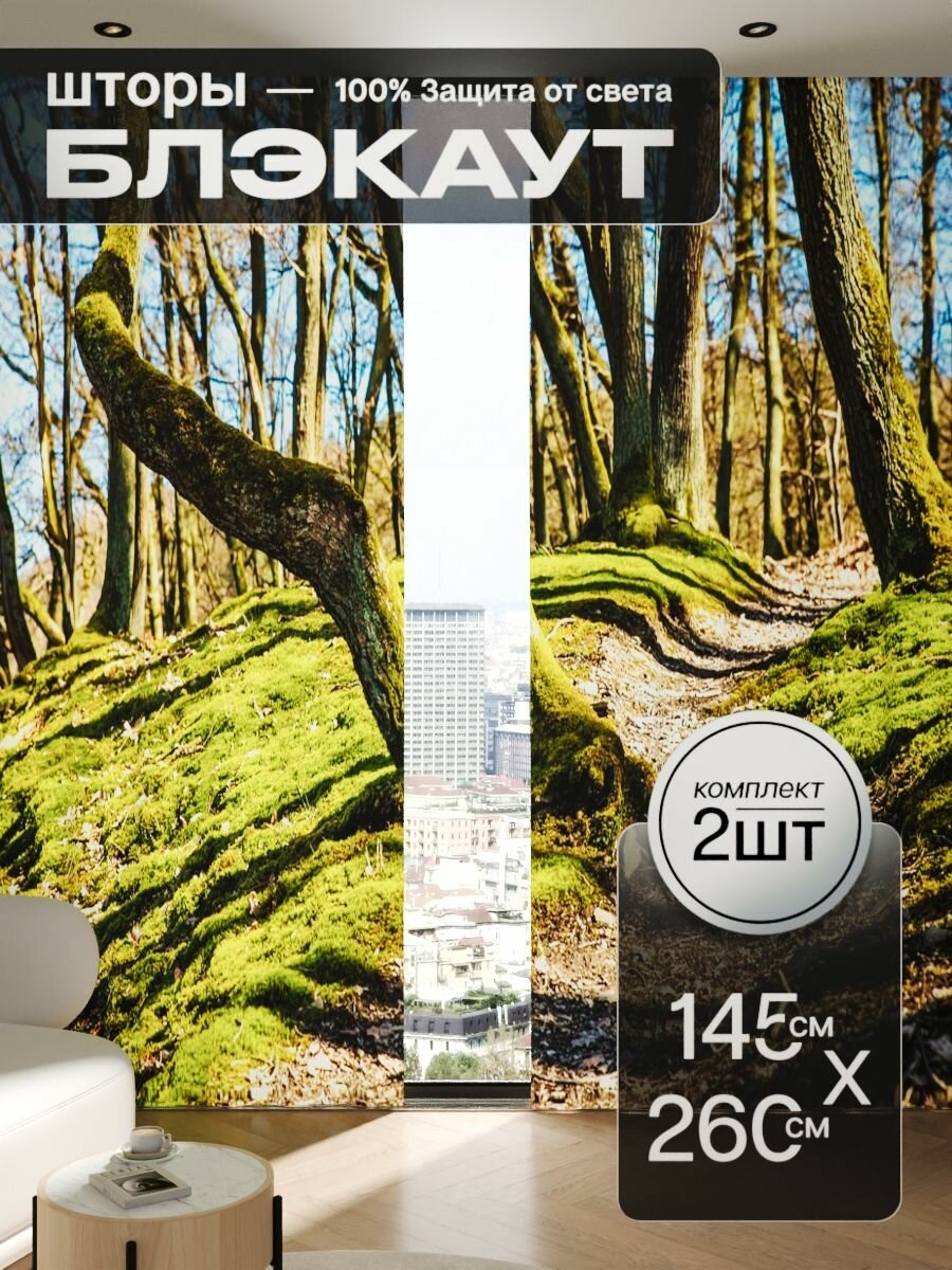 Шторы блэкаут 145x260 см 2 шт на окна плотные комплект