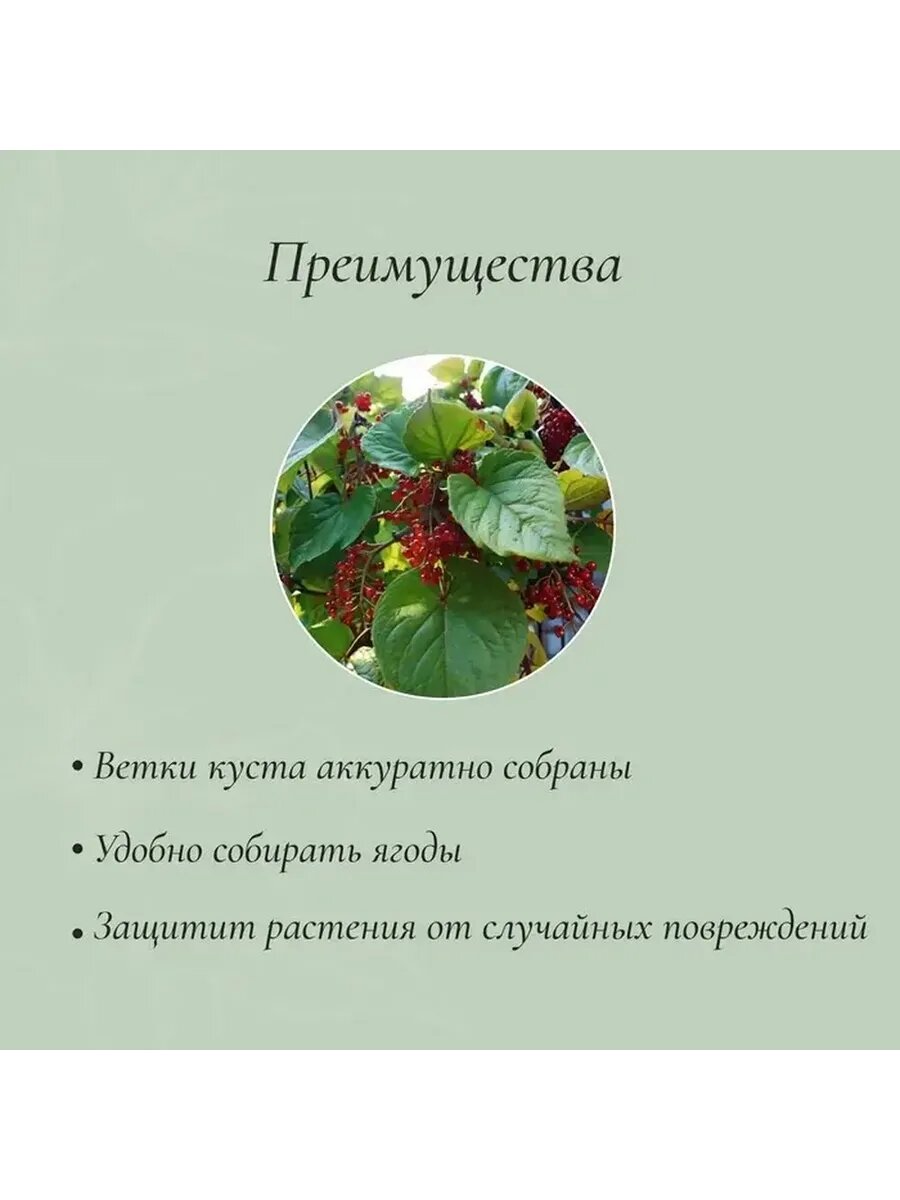 Набор устойчивых кустодержателей для сада — фото 1