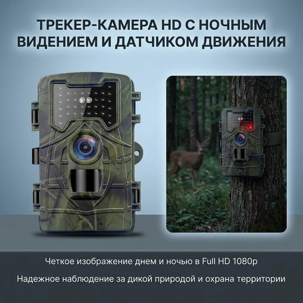 Фотоловушка