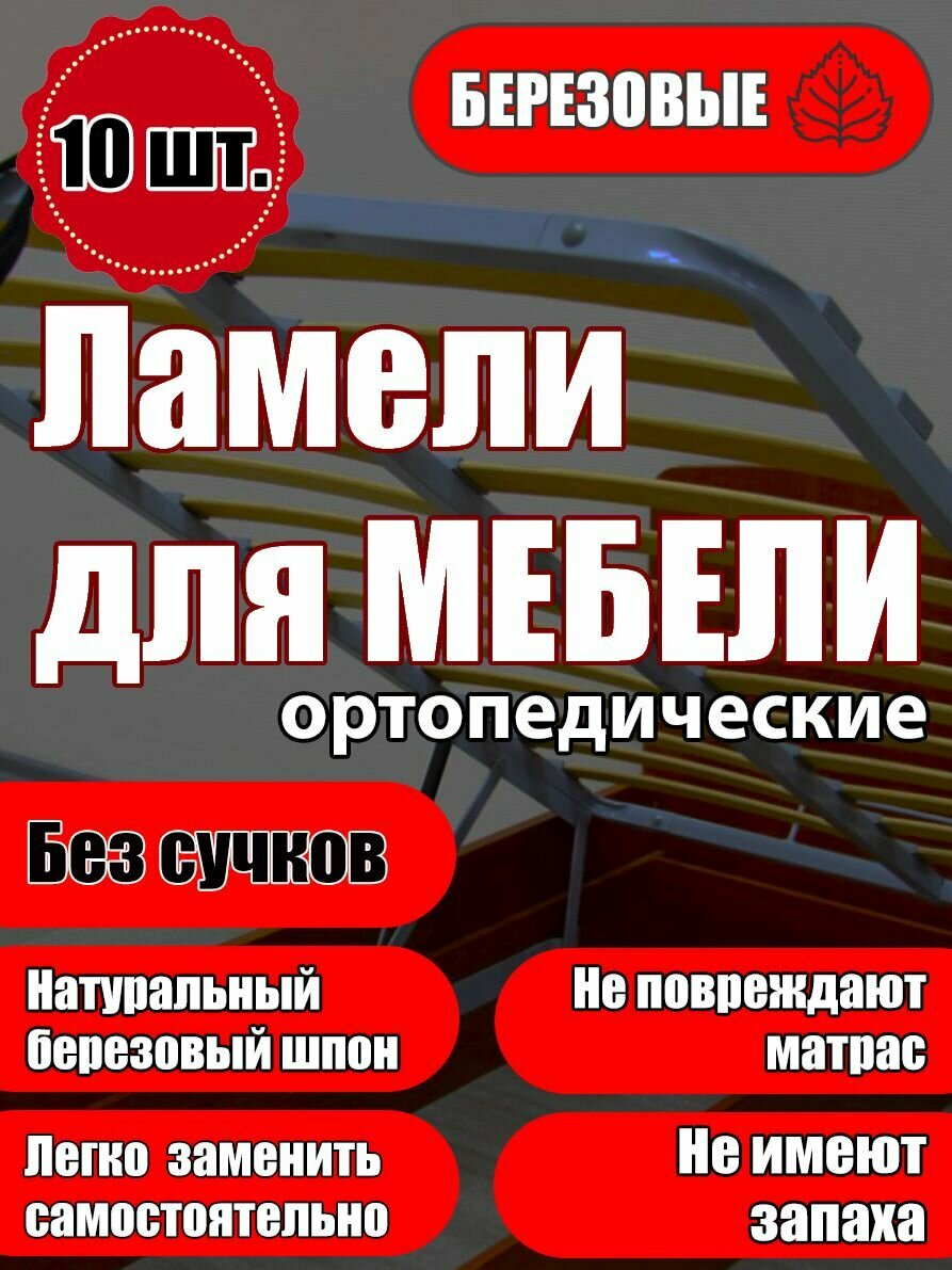 Ламель мебельная 780/50/8 10 шт, пристреливающиеся держатели в наборе 20 шт