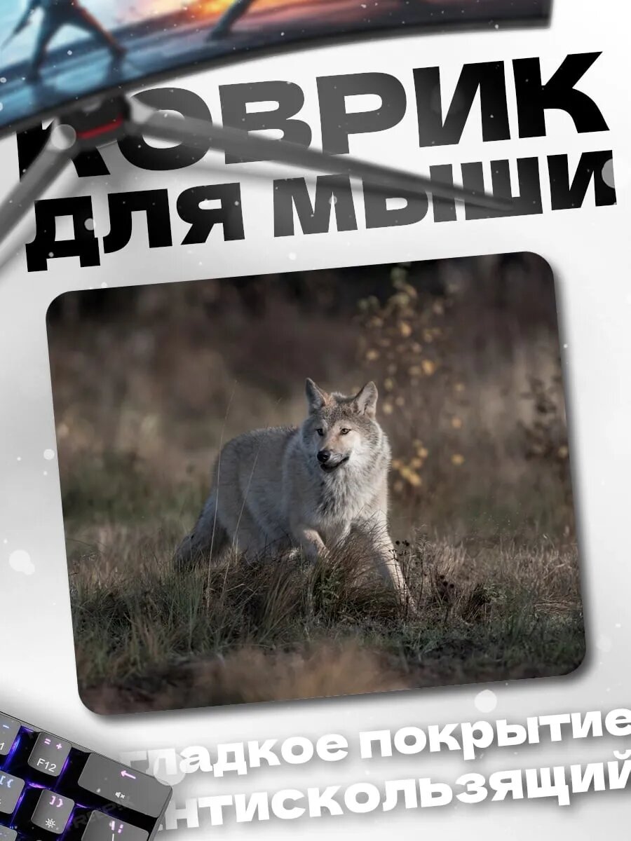 Коврик для мыши бегущий волк