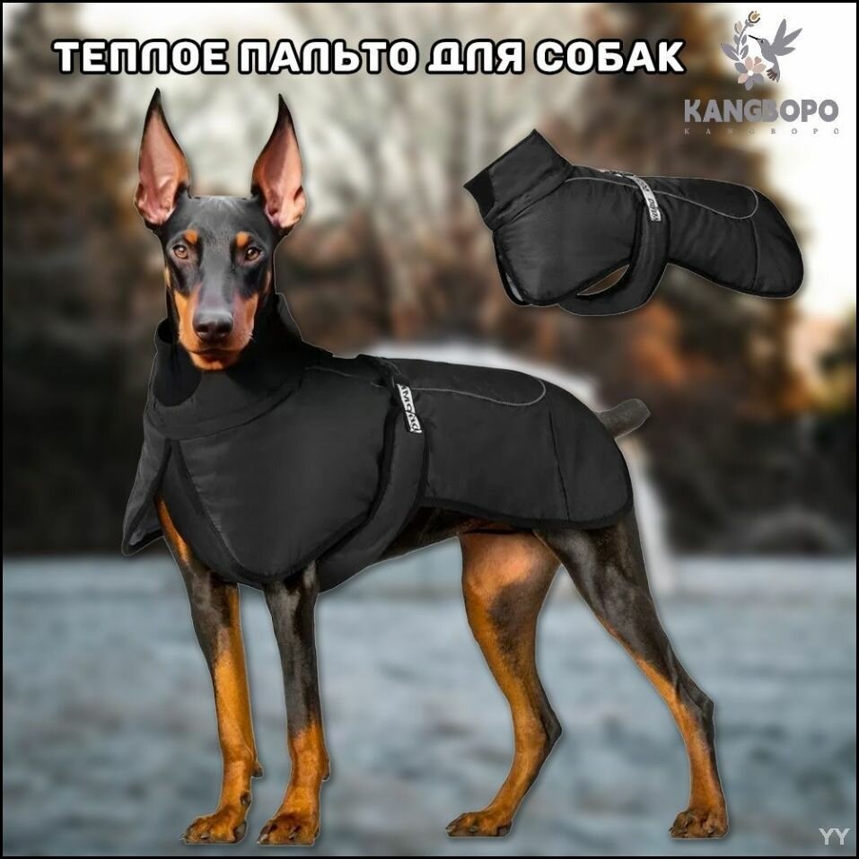Одежда для животных/попона теплая для собак, Унисекс,3XL, синий