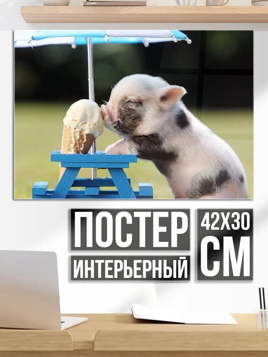 Плакат постер Поросенок ест мороженое
