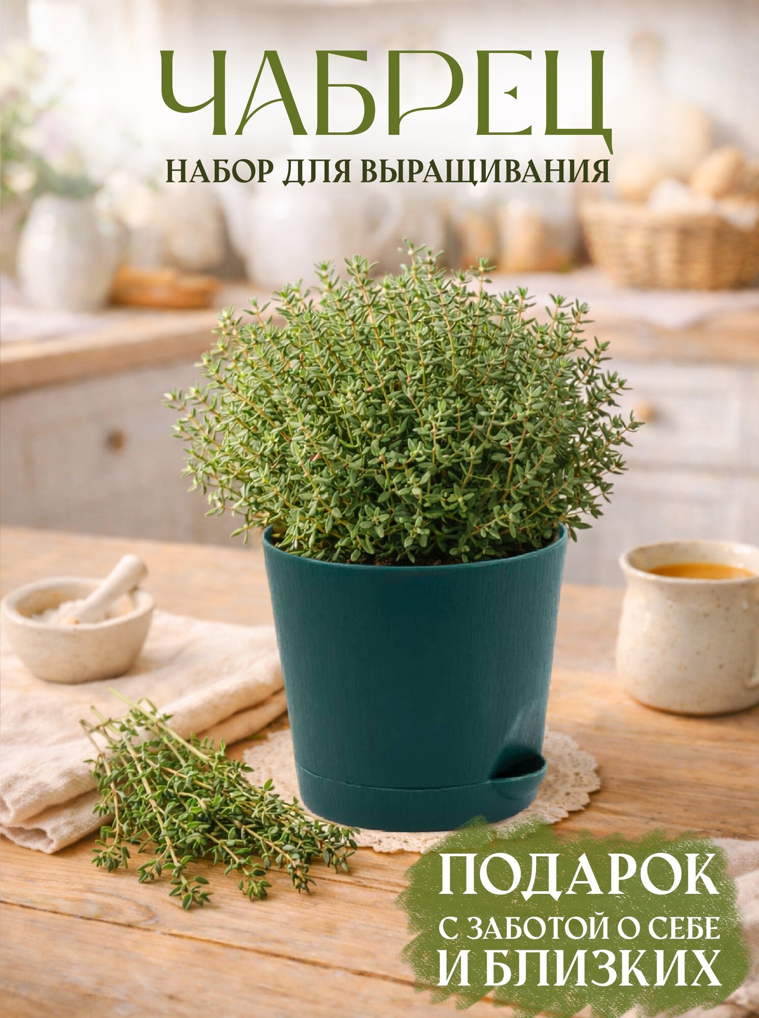 Набор для выращивания чабреца дома — тимьян, чайные травы на подоконнике
