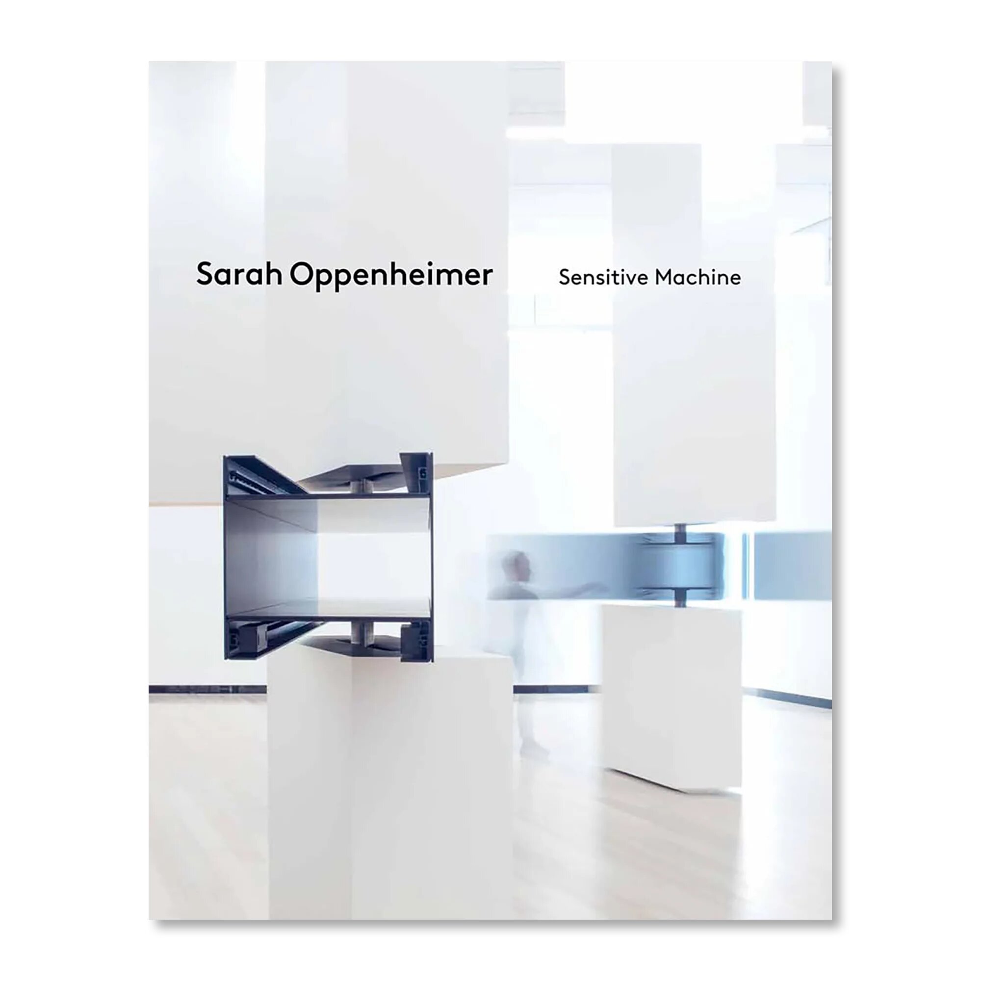 Sarah Oppenheimer: Sensitive Machine