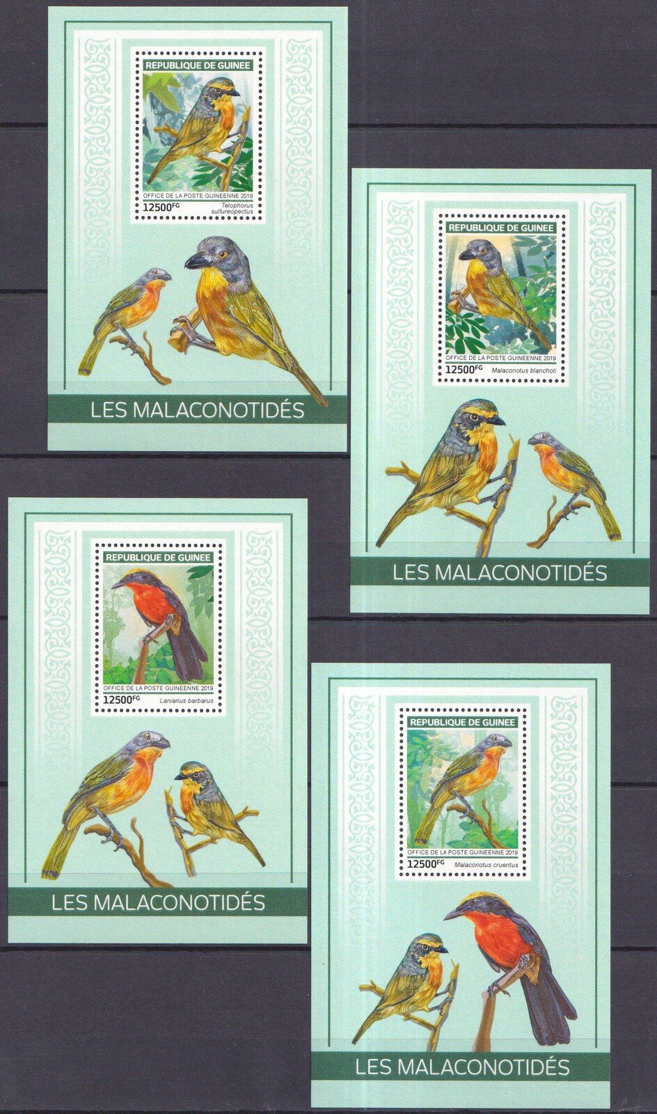 Марки 2019 год Гвинея Бюльбюлевые Птицы Фауна #13572-13575 ! 4 Блока Mnh