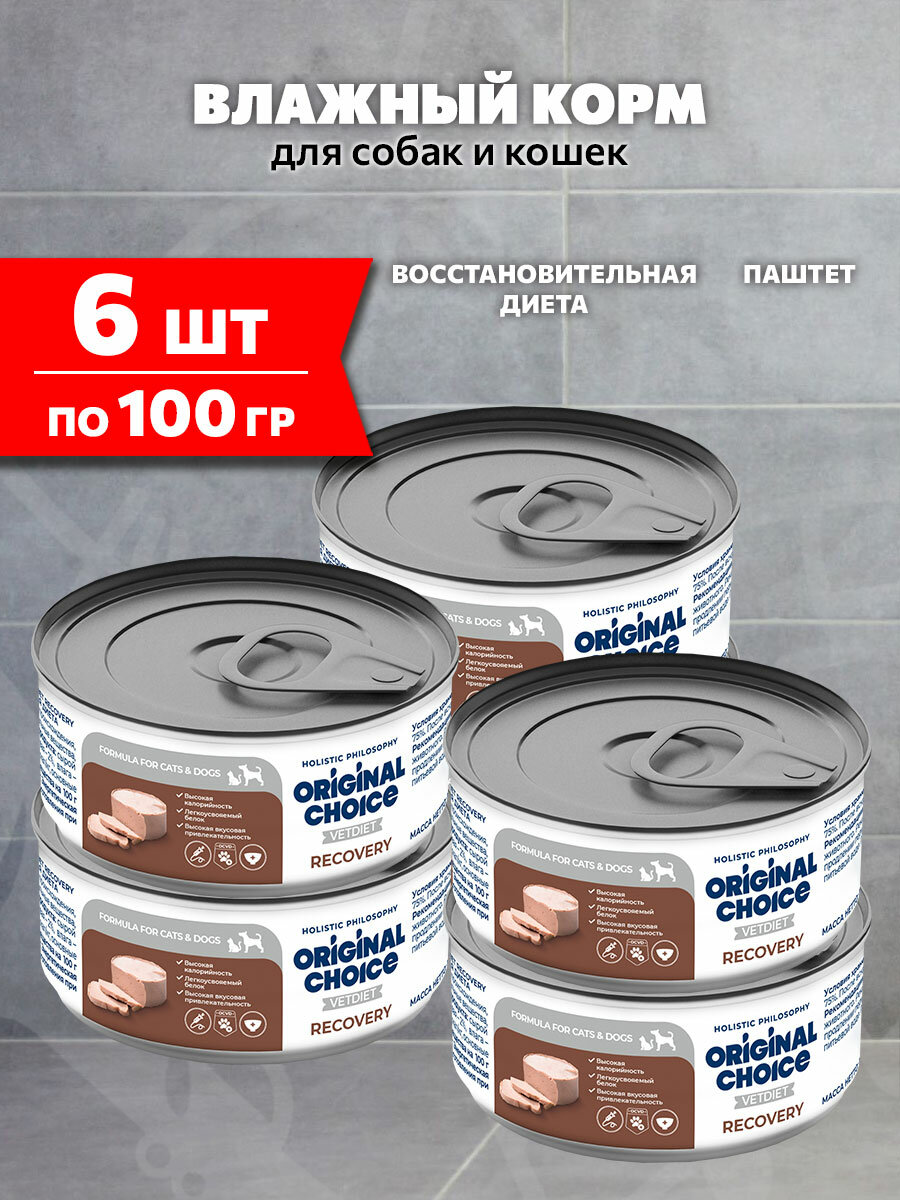 Корм влажный Original Choice Vetdiet Recovery для собак и кошек, восстановительная диета, 100 г х 6 шт