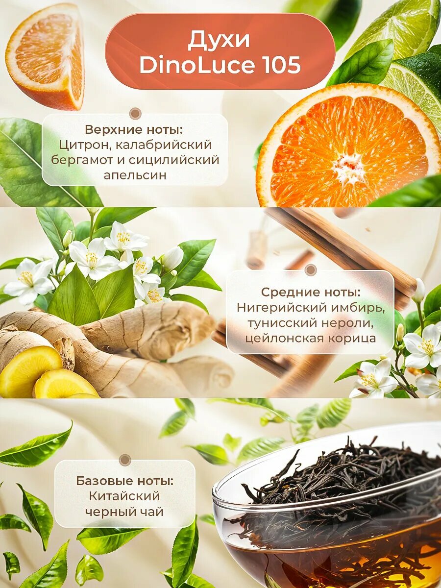 Духи DinoLuce женские стойкие 6 шт по 10 мл