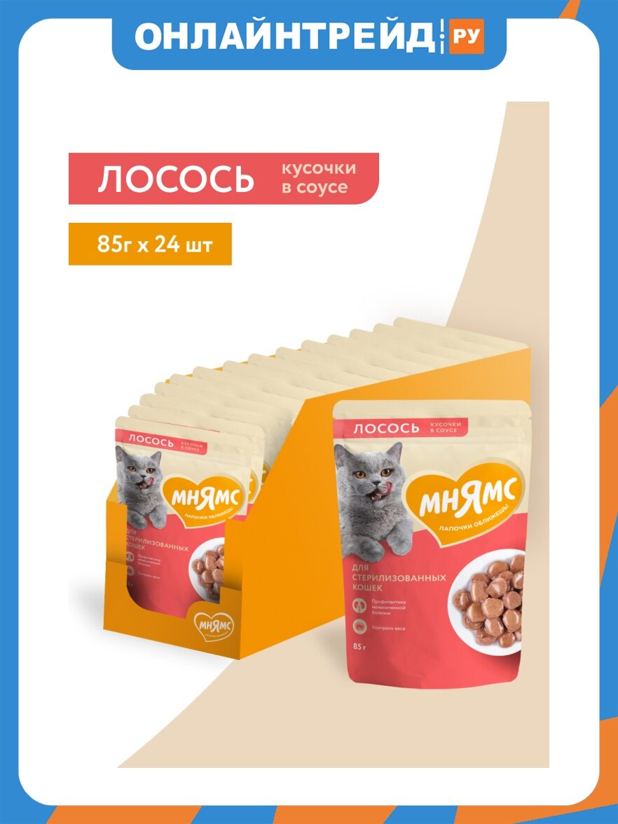 Корм влажный Мнямс Кусочки в соусе с лососем для стерилизованных кошек, 24шт х85 г.