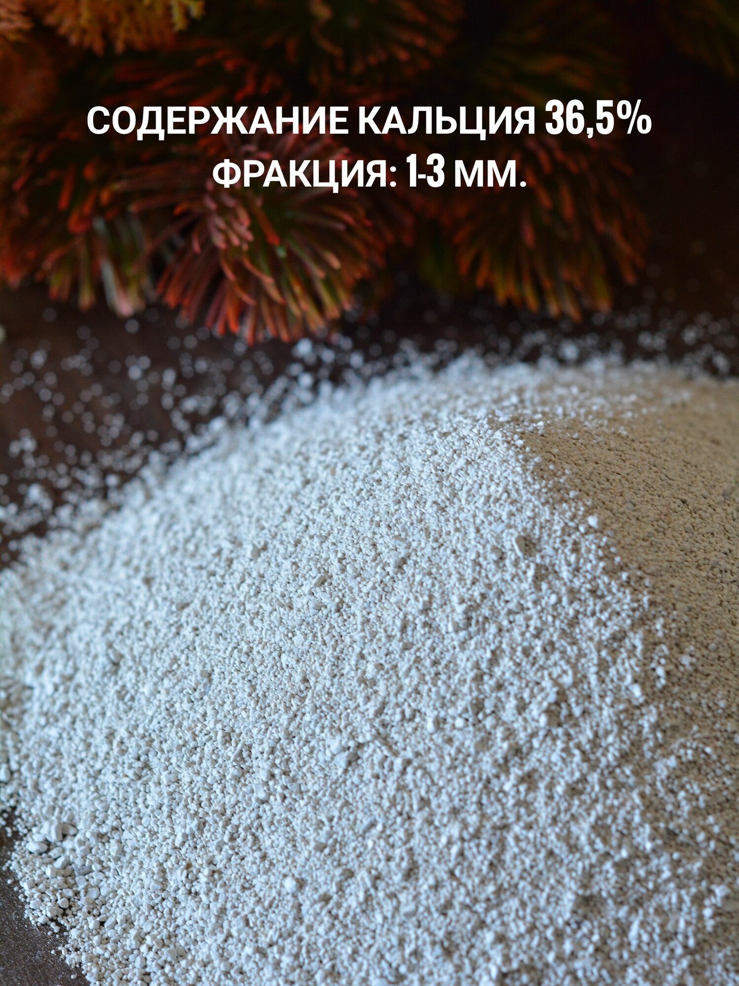 Известняковая крупка — фото 1
