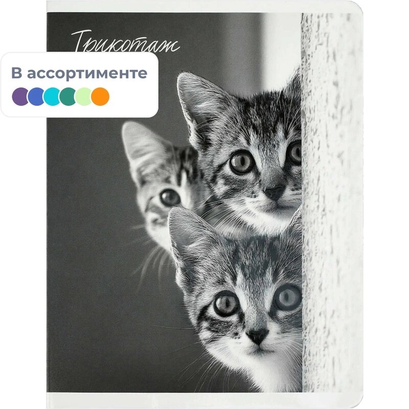 Тетрадь 48 л, клетка монохромные коты А5+, в ассорт/70920