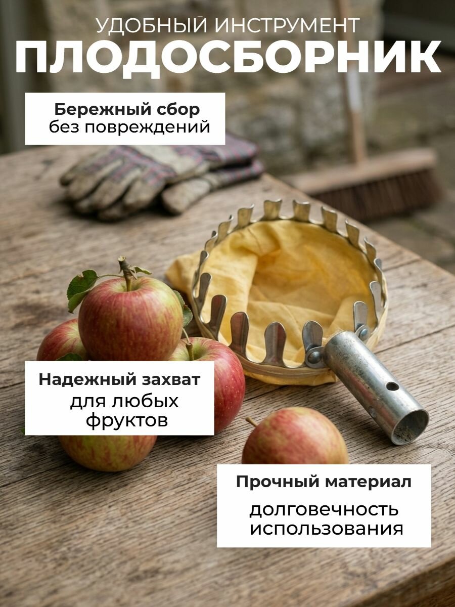 Плодосборник LISTOK без черенка