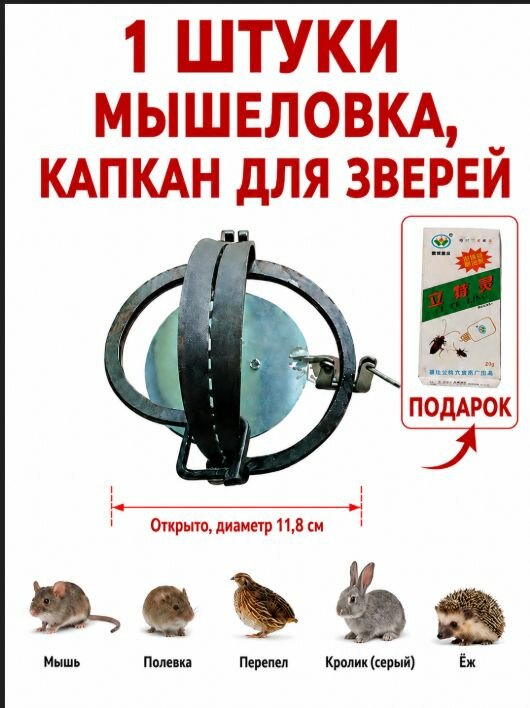 Капкан-мышеловка из усиленной толстой стали надёжная защита от грызунов и мелких вредителей